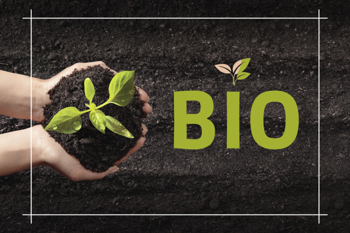 Stadtlandwirtschaft Wien